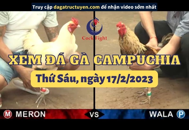Full đá gà Campuchia hôm nay 17/02/2023