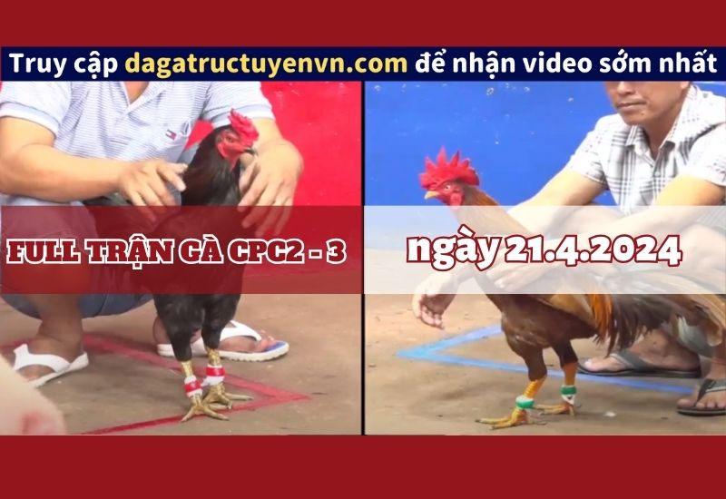 Video gà mạng C2/ C3 Campuchia ngày 21/4/2024