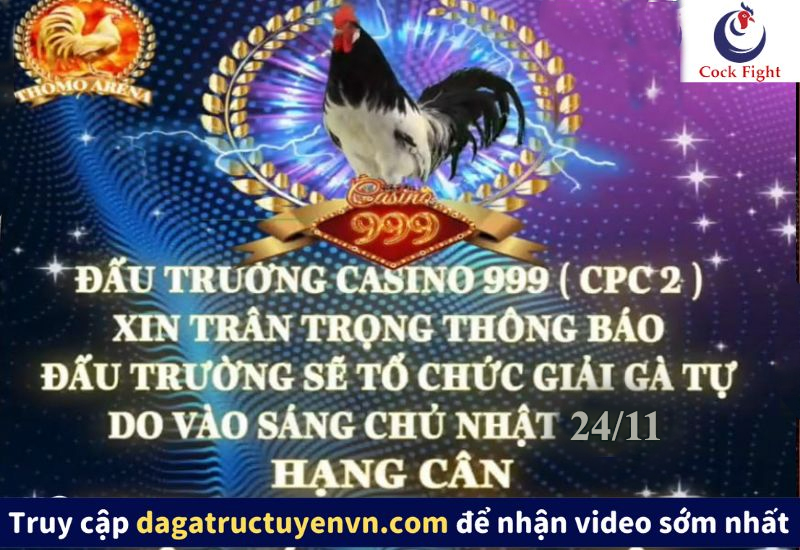 Full Giải Đá Gà Thomo C2 Campuchia ngày 24/11/2024 (+C3)