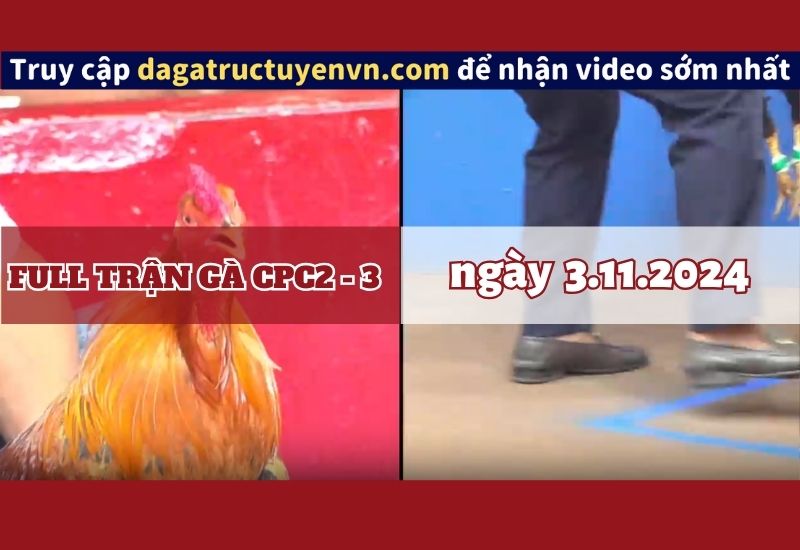 Video gà mạng C2/ C3 Campuchia ngày 3/11/2024