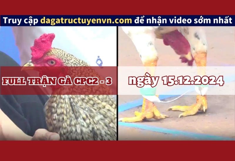 Video gà mạng C2/ C3 Campuchia ngày 15/12/2024