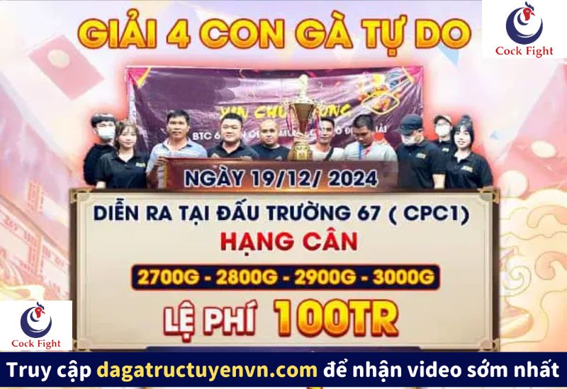 Full Giải 4 Con Gà Tự Do C1 Thomo ngày 19/12/2024 (+C3)