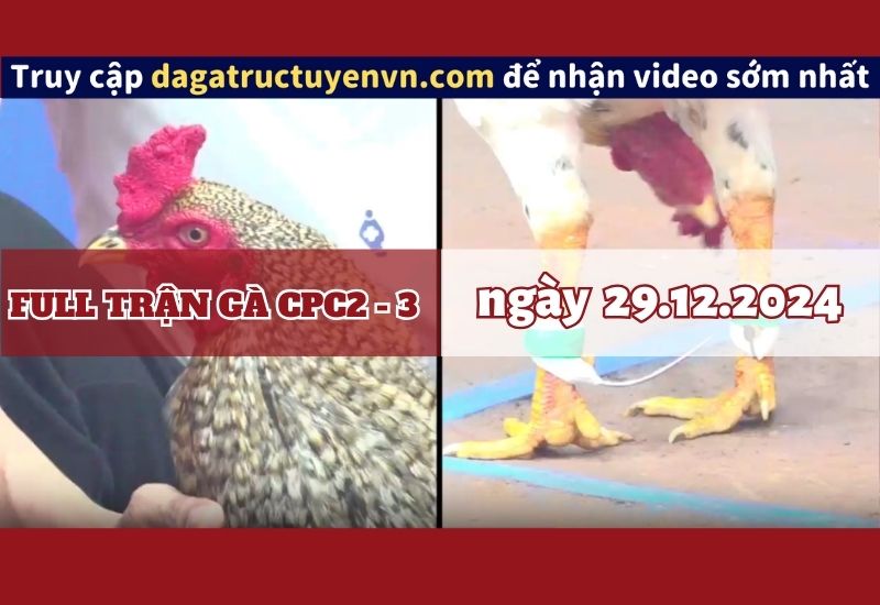 Video gà mạng C2/ C3 Campuchia ngày 29/12/2024