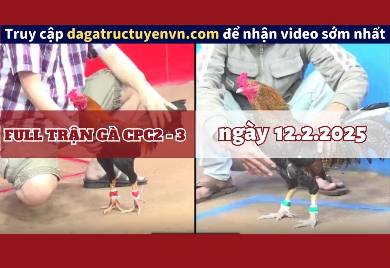 Video gà mạng C2/ C3 Campuchia ngày 12/2/2025