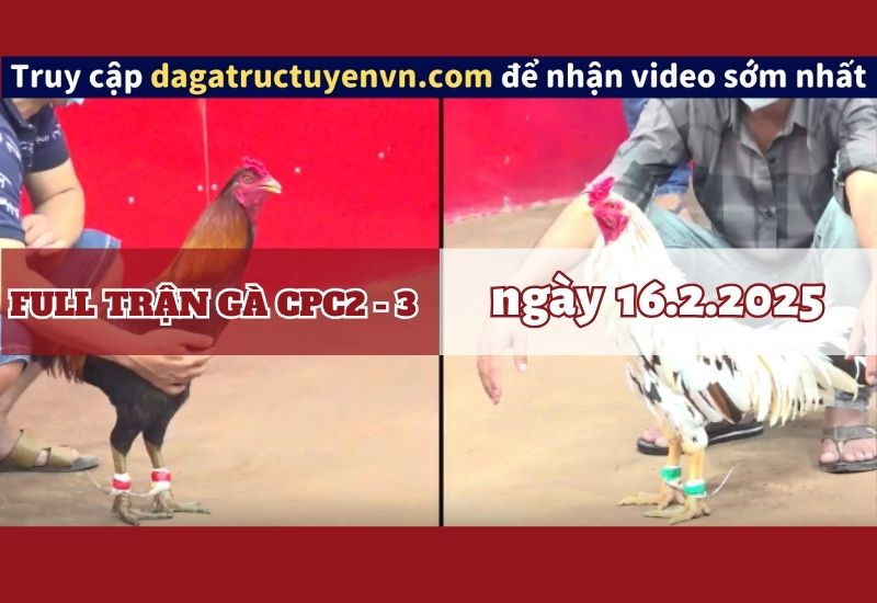 Video gà mạng C2/ C3 Campuchia ngày 16/2/2025