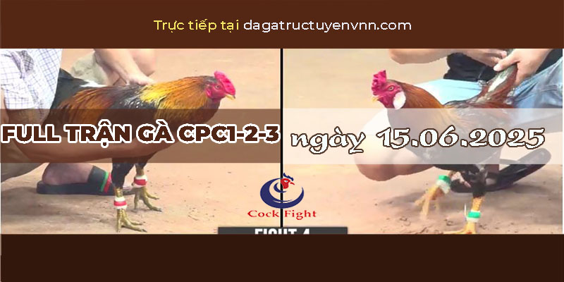 Xem Trực Tiếp Đá Gà Thomo C4/C5 ngày 15/6/2025