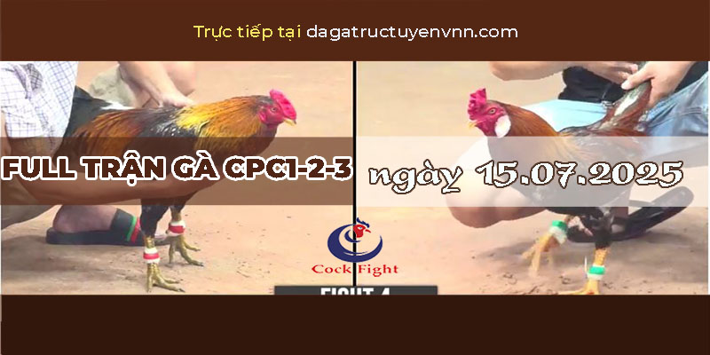Live đá gà Thomo Campuchia C1/C3 ngày 15/7/2025